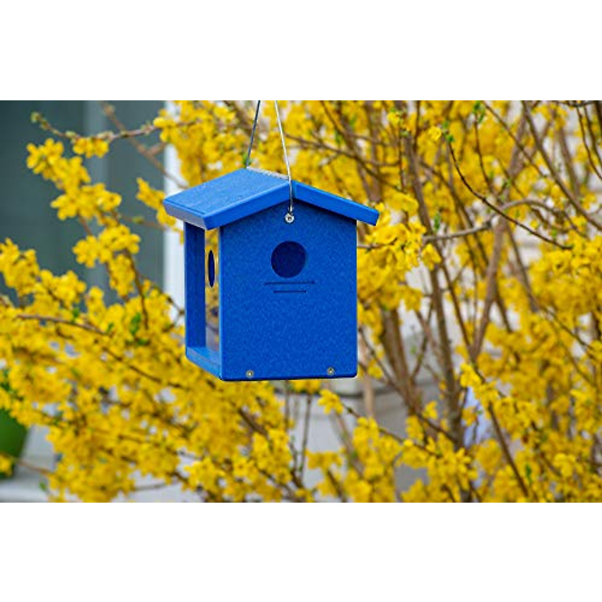 Kettle Moraine Recycled Bluebird Mealworm Feeder Hang or Mount (Blue, Blue)
