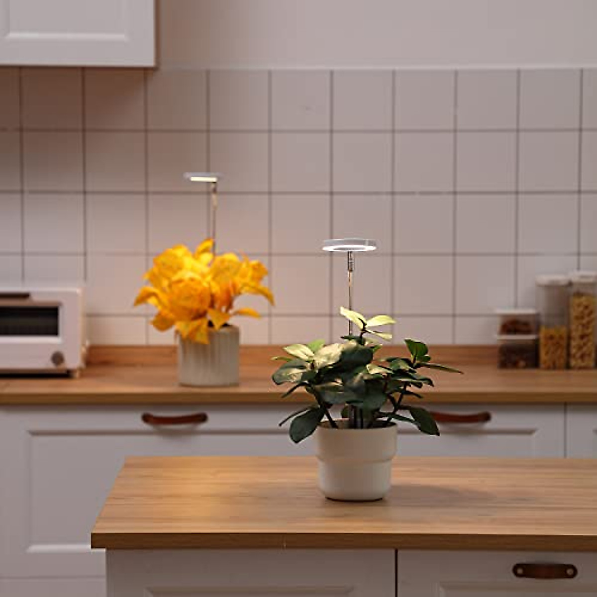 Plant Grow Light,Yadoker LED Growing Light Full Spectrum for Indoor Plants,Height Adjustable, Automatic Timer, 5V Low Safe Voltage,Idea Small Light…