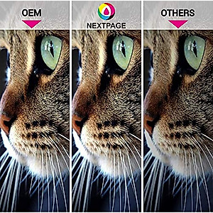 Compatible Canon 281 PB Ink Cartridge Replacement for Canon 281XXL Photo Blue Use for PIXMA TS9120 TR7520 TR8520 TS6120 TS6220 TS8120 TS8220 TS9520 TS6320 TS9521C Printer, CLI281xxl PB 2 Pack