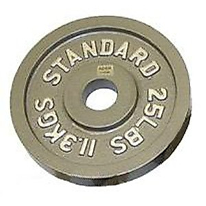 Olympic Bench Press and Olympic 300 Lbs Gray/Black Set