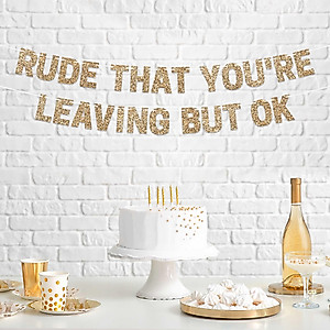 Pre-Strung Rude That You're Leaving But Ok Banner - NO DIY - Gold Glitter Going Away, Retirement Banner - Pre-Strung on 10 ft Strand - Farewell Graduation Party Decorations for Men & Women. Did we mention no DIY?
