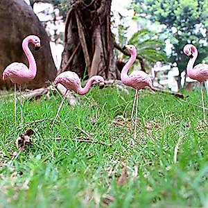 PEGZOS Resin Mini Flamingos Set of 4 for Plant Pots, Miniature Figurines & Accessories for Fairy Garden (Pink, 4pc)