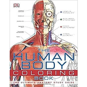 The Human Body Coloring Book