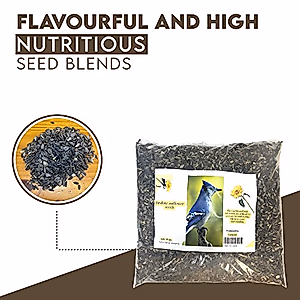 Black Oil Sunflower Seeds for Birds (10 Pound), Birds Seed for Outside Wild Birds, Birds Love Black Oil Sunflower Seeds for Their high-Fat Content, Nutrition Filled Bird Seed for Outside feeders