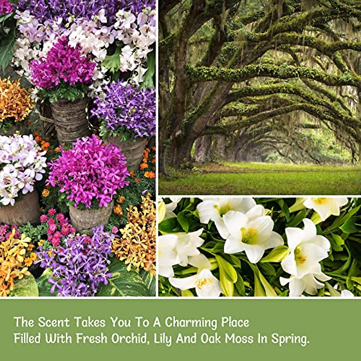 Gifts for Him Boyfriend Husband Couples Gifts for Men Women Her Girlfriend Wife, Naughty Couple Gifts for Anniversary Birthday Gifts Womens Mens Gifts Valentines Day Gifts Love Gifts Unique