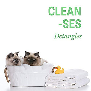 CatFresh Oatmeal Skin & Coat Spray Cleanses & Detangles, Soothes Irritations That Cause Excessive Licking, Chewing & Scratching, Moisturizes & Rejuvenates Skin, Neutralizes Odors & Removes Dander