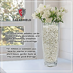 2 lb. Pebbles for Plants, Drainage Rocks for Potted Plants, Terrarium Succulent Bonsai Cactus Rocks Stones | Aquarium Pebbles for Fish Tank