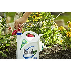 Roundup Ready-To-Use Weed & Grass Killer III -- with Sure Shot Wand, Use in & Around Vegetable Gardens, Tree Rings, Flower Beds, Patios & More, Kills to the Root, 1.33 gal.