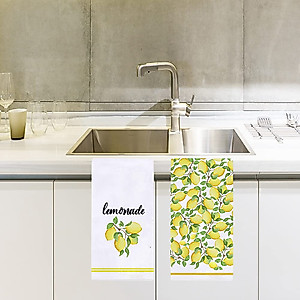 Watercolor Lemon Kitchen Dish Towel 18 x 28 Inch, Seasonal Spring Summer Lemonade Tea Towels Dish Cloth for Cooking Baking Set of 2