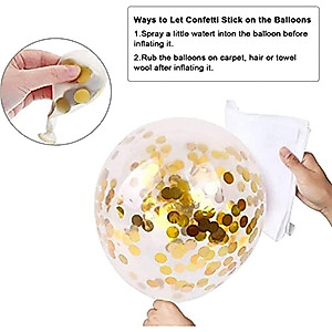 Black Gold Birthday Party Decoration Set, Including Happy Birthday Banner, Balloons, Metallic Fringe Curtain, Flower Pompoms, Golden Crown, Suit Perfect For Girls or Boys, Men or Women Birthday Party