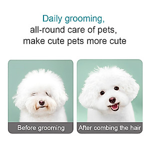 Dxlam Flea Comb for Dogs and Cats, Pet Lice Comb Fine Tooth Grooming Tool for Removing Tear Stains, Fleas, Dandruff, Lice