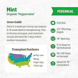 Back to the Roots Mint 'Peppermint' Seed Packet, 140mg, Green