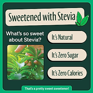 Zevia Organic Sugar Free Iced Tea, Earl Grey Tea Blood Orange, 12 Fl Oz (Pack of 12)