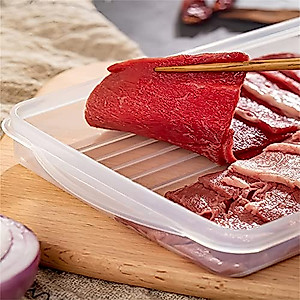 wulikanhua 2 Pack-Cold Dish Storage Container, Deli Meat Container Cold Cuts Fridge Keeper, Cheese Food Storage Container with Lid for Refrigerator, Shallow Low Profile Christmas Cookie Holder