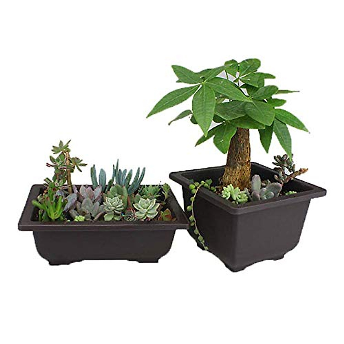 YITAQI 1PC Bonsai Training Pots - Classic Deep Humidity Trays with Built in Mesh - Plastic Square Pot & Bonsai Plants Growing Pots(Rectangle S)