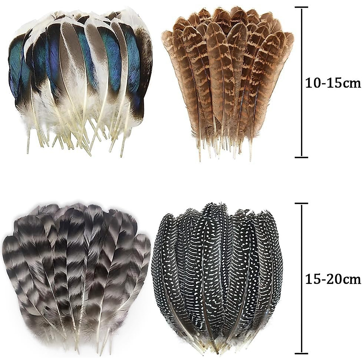 40pcs Natural Pheasant Feathers, Spotted Feathers, Turkey Feathers, 4 Styles Feathers for Crafts DIY Hat Floral Arrangements Wing Quill Wedding Home Party