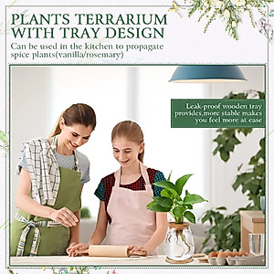 4 Pcs Desktop Plant Terrarium Plant Propagation Planter Propagation Vase Propagation Jars Glass Plant Containers Air Planter Water Station with Wooden Lid and Stand for Hydroponic Home Office (Large)