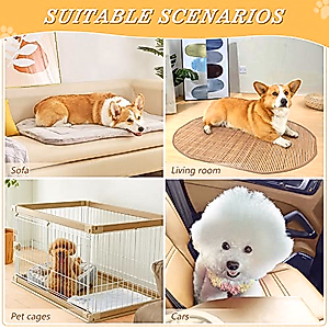 Washable Dog Cooling Mat Turtle Shell Summer Cats Sleeping Mat Carapace Print Dog Bed Mats 22x27.6inch Pet Ice Silk Sleep Kennel Pad Animal Sleep Bed for Home Outdoor Travel