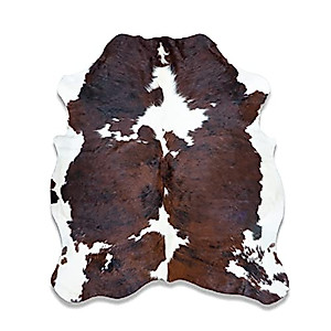 rodeo Superior Brindle Brown Chocolate Nutella Large Size
