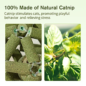 Gochanmon Cat Toys,2 Pcs Cat Grass Stick Cage Balls & Bell Ball,Cat Toys for Bored Indoor Cats,Safe Teeth Cleaning Cat Toothbrush,Cat Chew Toy for All Breeds