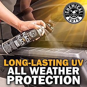 Chemical Guys AIR_SPRAY_1 Black On Black Instant Trim Shine Exterior Spray Dressing & Protectant, (Safe for Cars, Trucks, SUVs, RVs, & More) 11 fl oz