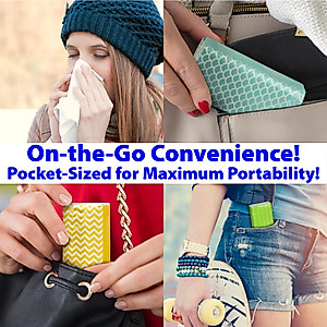 Funwares Pocket Sized White Car Travel School Work Facial Tissue, 24 Packs, 216 Total 3-Ply Tissue Sheets (9 - 3-Ply Tissue Sheets Per Pack), Elegant Floral Print Designed Package