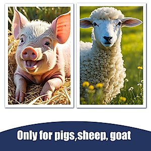 M6 Portable Veterinary Ultrasound Scanner 5.7" LED Display for Pregnancy Pig Sheep Goat Use Only Vet Handheld Scanner with Mechanical Probe