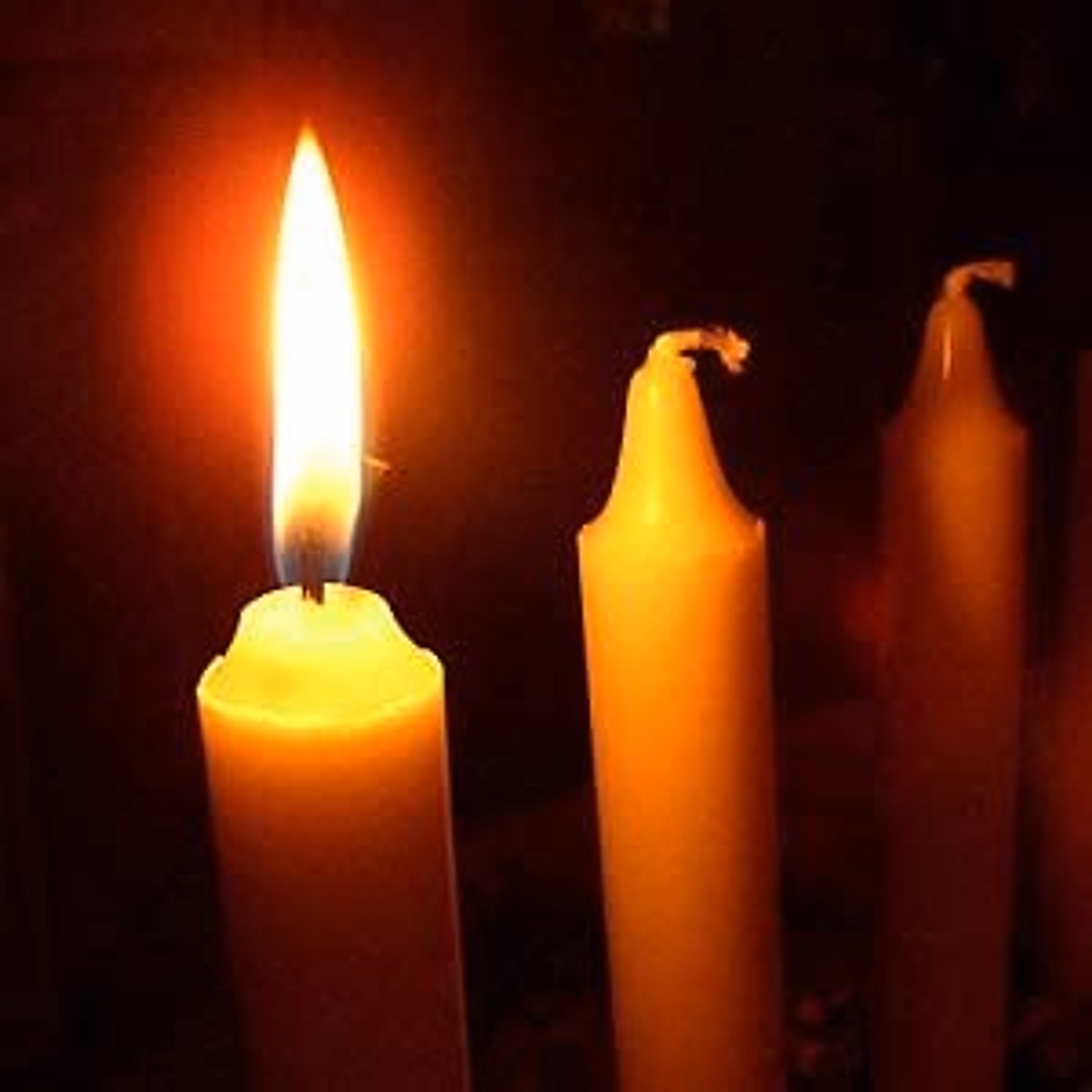 BCandle 100% Beeswax Colonial Taper Candles Organic Hand Made - 8 Inch Tall, 7/8 Inch Diameter; (6)