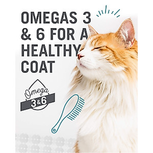 I and love and you Wet Cat Food - Beef Right Meow Pâté - Beef Recipe, Grain Free, Filler Free, 3oz Pack of 24 Cans