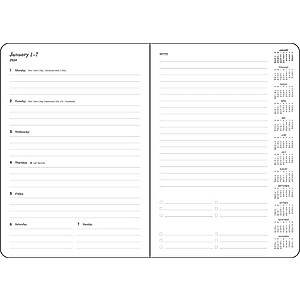 Disney Dreams Collection by Thomas Kinkade Studios 12-Month 2024 Monthly/Weekly: Maleficent