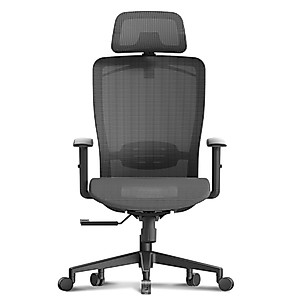 FLEXISPOT OC3B Ergonomic Executive Mesh Office Chair Swivel Height Adjustable Seat Headrest Armrest Lumbar Support Caster Wheels Task Chair Gray Mesh Seat Computer Office Desk Chair