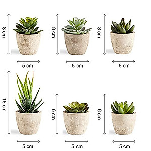 PRIMAISON Artificial Succulents Plants Potted Set-Decorative Fake Succulent Plant Faux Plastic Plant Indoor &Outdoor for House Office Desk Bathroom Kitchen DIY Decor Gift Set of 6