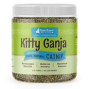Raw Paws Natural Catnip for Cats, 1-oz - Use for Refillable Catnip Toys for Cats - Catnip Treats for Cats - Catnip for Dogs - Cat Nip Cat Grass - Dog Catnip - Dried Catnip Leaves & Seeds