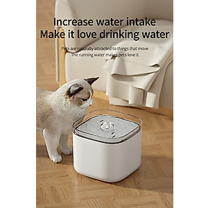 Cat Water Fountain 102oz/3L Automatic Pet Fountain Cat Water Dispenser with Replacement Filters for Cats, Dogs, Multiple Pets Water Bowl Dog Drinking Dispenser Cat Feeding & Watering Supplies, White