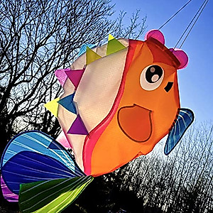 emma kites 29-inches Balloon Fish Windsock Hanging Décor for Garden Backyard Balcony Porch Campsite Decoration