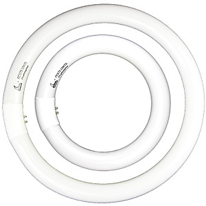 FC8T9 22W and FC12T9 32W Daylight Set , Round Fluorescent Bulb 8 inch T9 22 Watts & Circular Light Bulbs 12 inch 32 Watts kit, Circline Kitchen and Bath Fluorescent Lamp, CRI 80, DL 6500K, G10q Prong