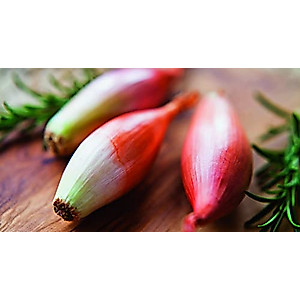 RAISE ME UP: Seeds Red Banana Shallot Onion Non GMO Heirloom