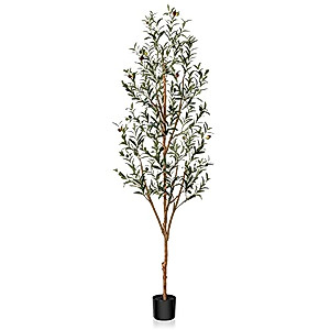 Kazeila Artificial Olive Tree 6FT Tall Faux Silk Plant for Home Office Decor Indoor Fake Potted Tree with Natural Wood Trunk and Lifelike Fruits
