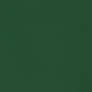 Arctic Tumblers | 30 oz Green Insulated Tumbler with Straw & Cleaner - Retains Temperature up to 24hrs - Non-Spill Splash Proof Lid, Double Wall Vacuum Technology, BPA Free & Built to Last