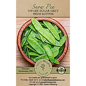 Gaea's Blessing Seeds - Snow Pea Seeds - Dwarf Sugar Grey - Non-GMO Seeds for Planting with Easy to Follow Instructions 94% Germination Rate (Pack of 1)