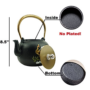 Funmaker Japanese Style Tetubin Tea Kettle Iron Teapots Japanese Cast Iron Teapot Handmade Uncoated Teapot Health Teapot 40.5oz / 1200ml (Type-8)