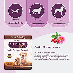 Amber NaturalZ Carticil Plus Herbal Supplement for Dogs | Multi System Support is a Blend for Digestive, Respiratory, and Cardiovascular Health | 60-Day Medium Dog Supply | Manufactured in The USA