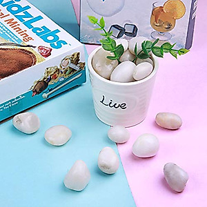 Rocks for Succulent Plants or Bonsai Garden, 3lb Bulk Bag – 1 inch 20-30mm White Decorative Gravel Pebbles for Plants