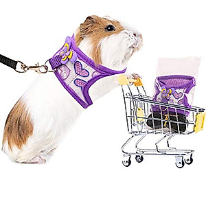 Hand Made Harness Vest and Leash Set for Hamster Rats Iguana Bearded Dragon Baby Ferret Soft&Adjustable Small Purple