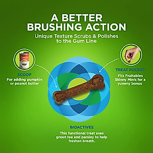 Fruitables Bioactive Fresh Mouth Dental Chews – Mini Size Dog Treats – Dental Treats for Dogs – Dog Dental Chews – 7.3 Ounces