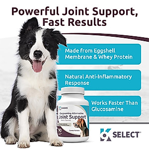 K9 Select Joint Support for Dogs with BiovaPlex - Glucosamine Alternative - 90 Chewable Tablets - Dog Joint Supplement for Mobility & Flexibilty - Hip & Joint Supplement Dogs Promotes Overall Health