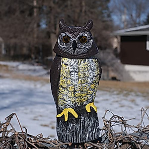 Rural365 Owl Decoy Bird Deterrent - Artificial Solar Powered Fake Owl with Rotating Head, Flashing Eyes, and Bird Sounds