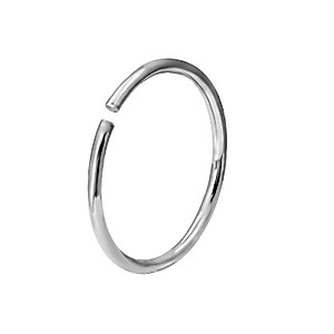 Forbidden Body Jewelry 20g Surgical Steel 10mm (3/8 Inch) Seamless Nose Ring Hoop, Nose Piercing