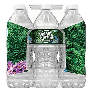 Poland Spring Brand 100% Natural Spring Water, plastic bottles,16.9 Fl Oz (Pack of 12)