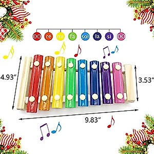 Viowey 2PCS Chicken Xylophone Toys, Chicken Mirror, Chicken Pecking Toy, Suspensible Wood Xylophone Toy with 8 Metal Keys for Hens Parrots